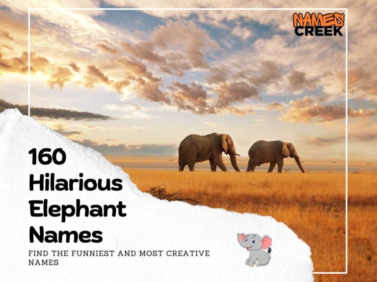 160 Funny Elephant Names : Get Ready To Laugh Out Loud! (With Generator)