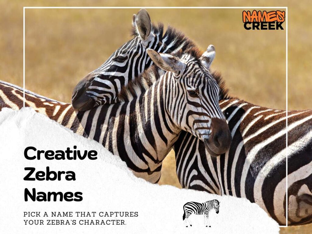 365 Unique Zebra Names For Your Striped Friends With AI Generator