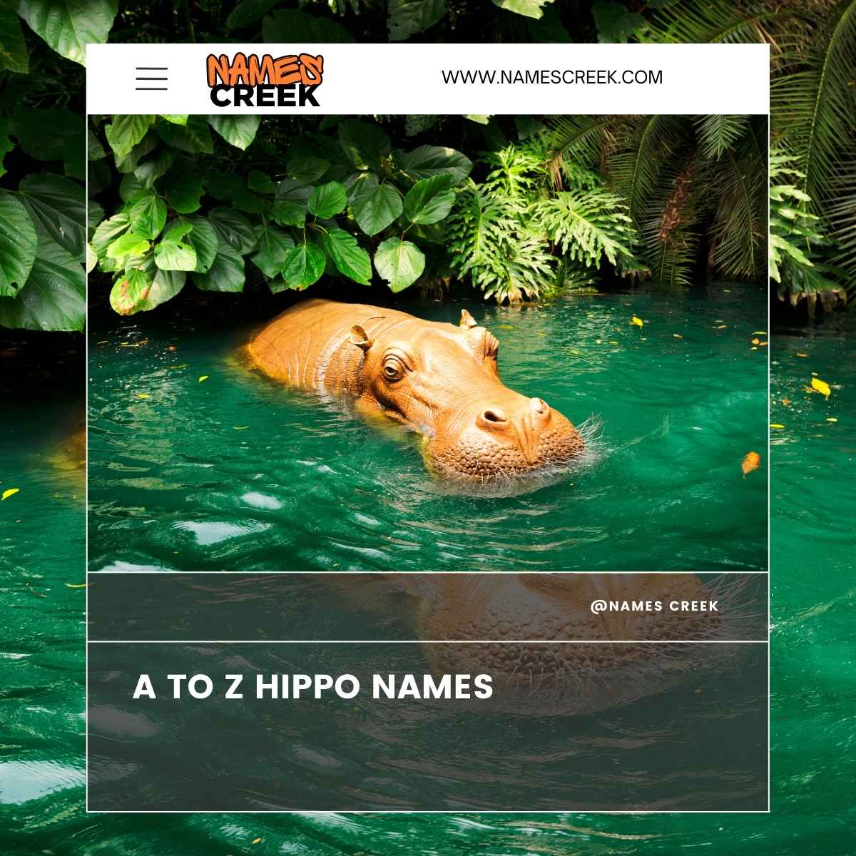 Top 400 Creative And Unique Hippo Names + Generator