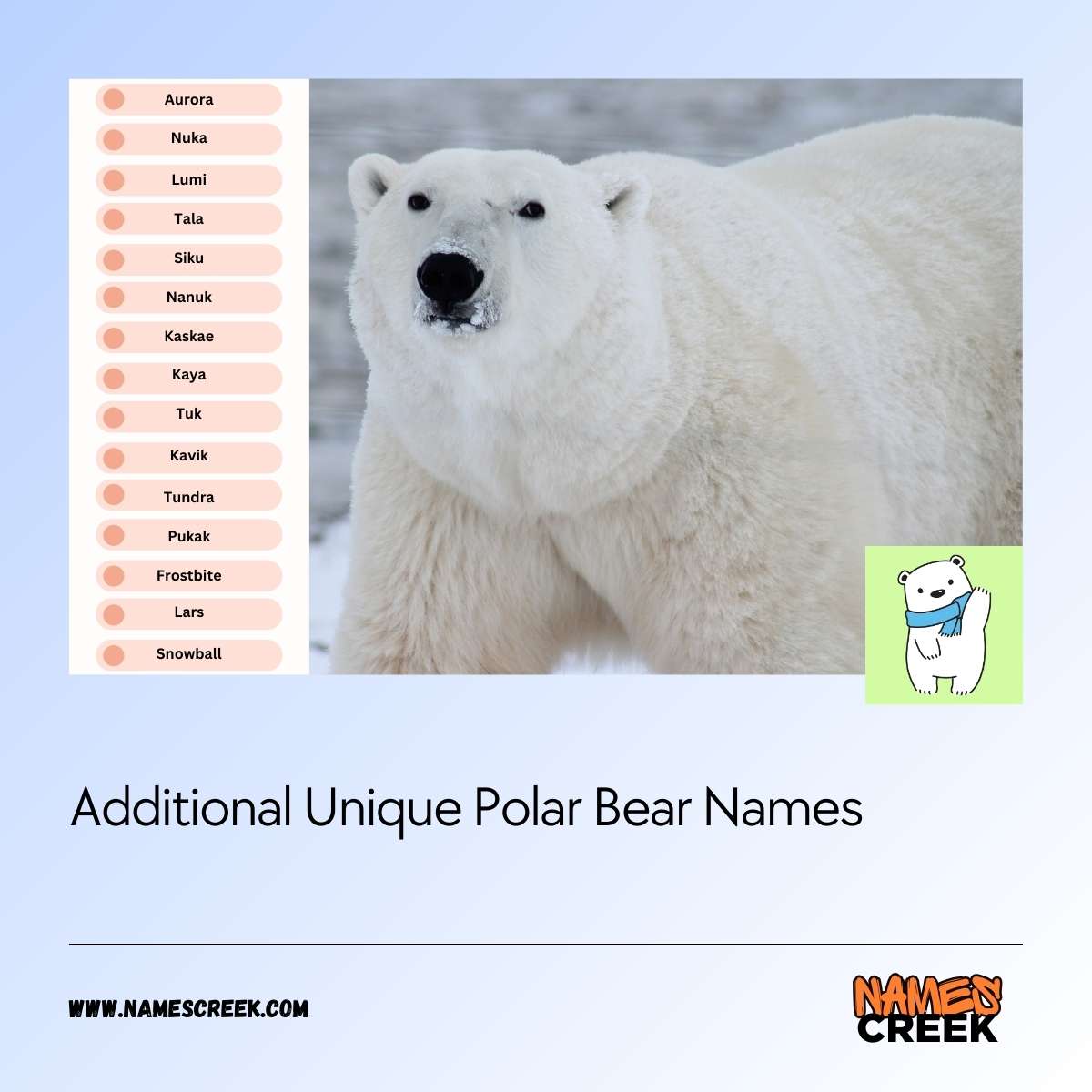 Comprehensive List Of 209 Polar Bear Names