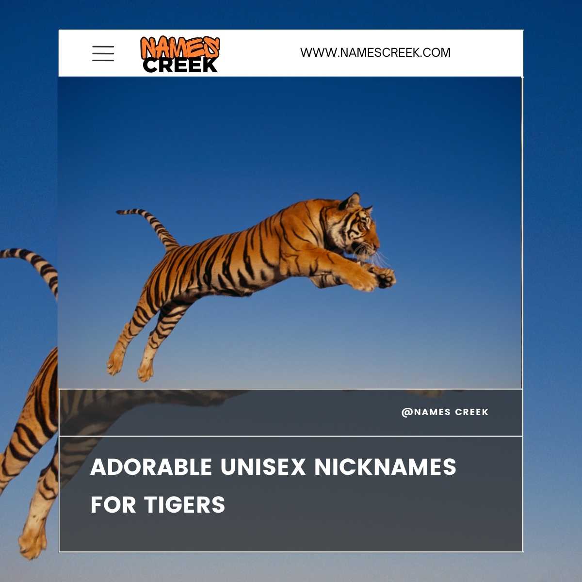 500 Best Tiger Names For Your Fierce And Fabulous Feline With Ai Generator