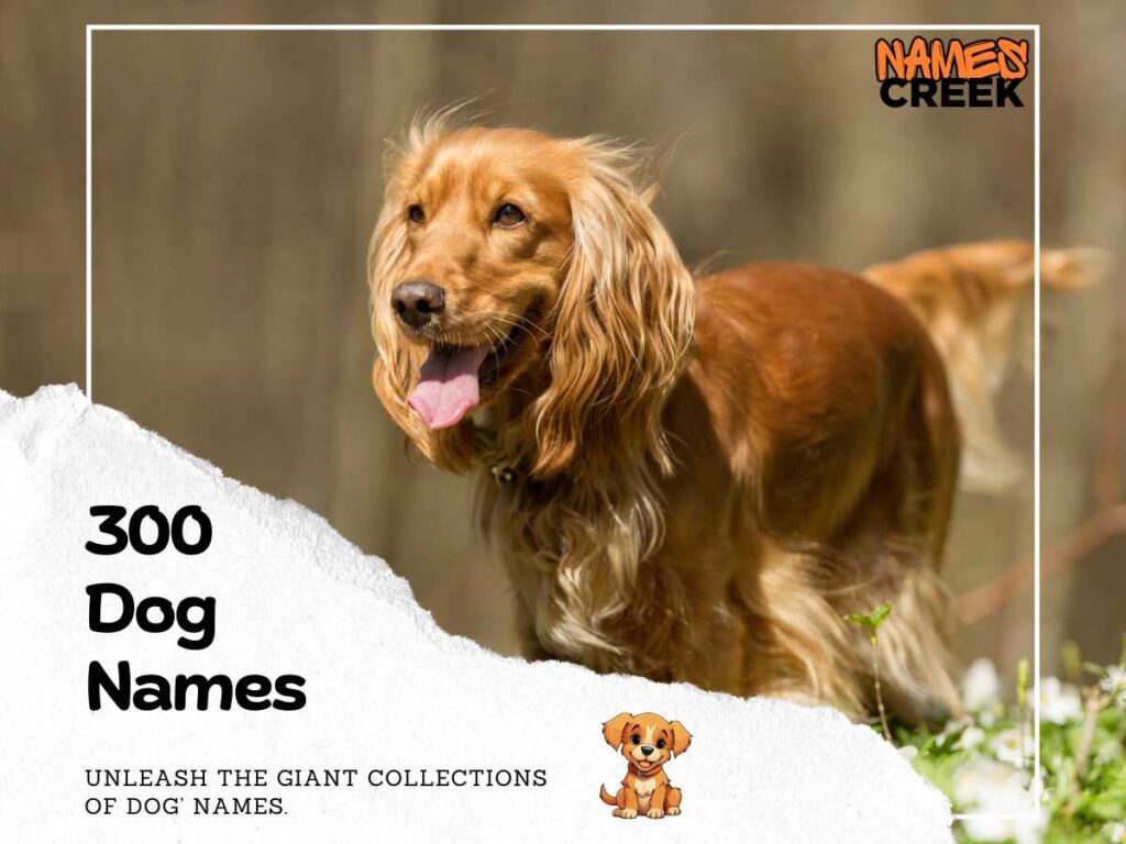 300 Awesome Dog Names: Discover The Perfect Name For Your Canine Companion