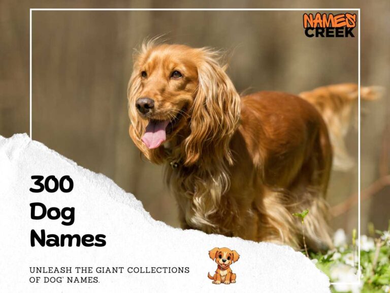 300 Awesome Dog Names: Discover The Perfect Name For Your Canine Companion