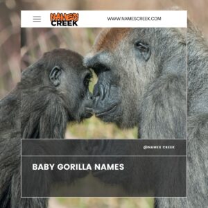 Unique Gorilla Names: Strength, Grace & Personality