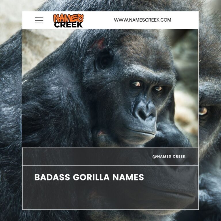 Unique Gorilla Names: Strength, Grace & Personality