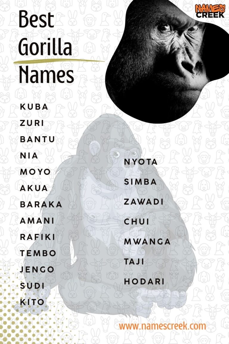Unique Gorilla Names: Strength, Grace & Personality