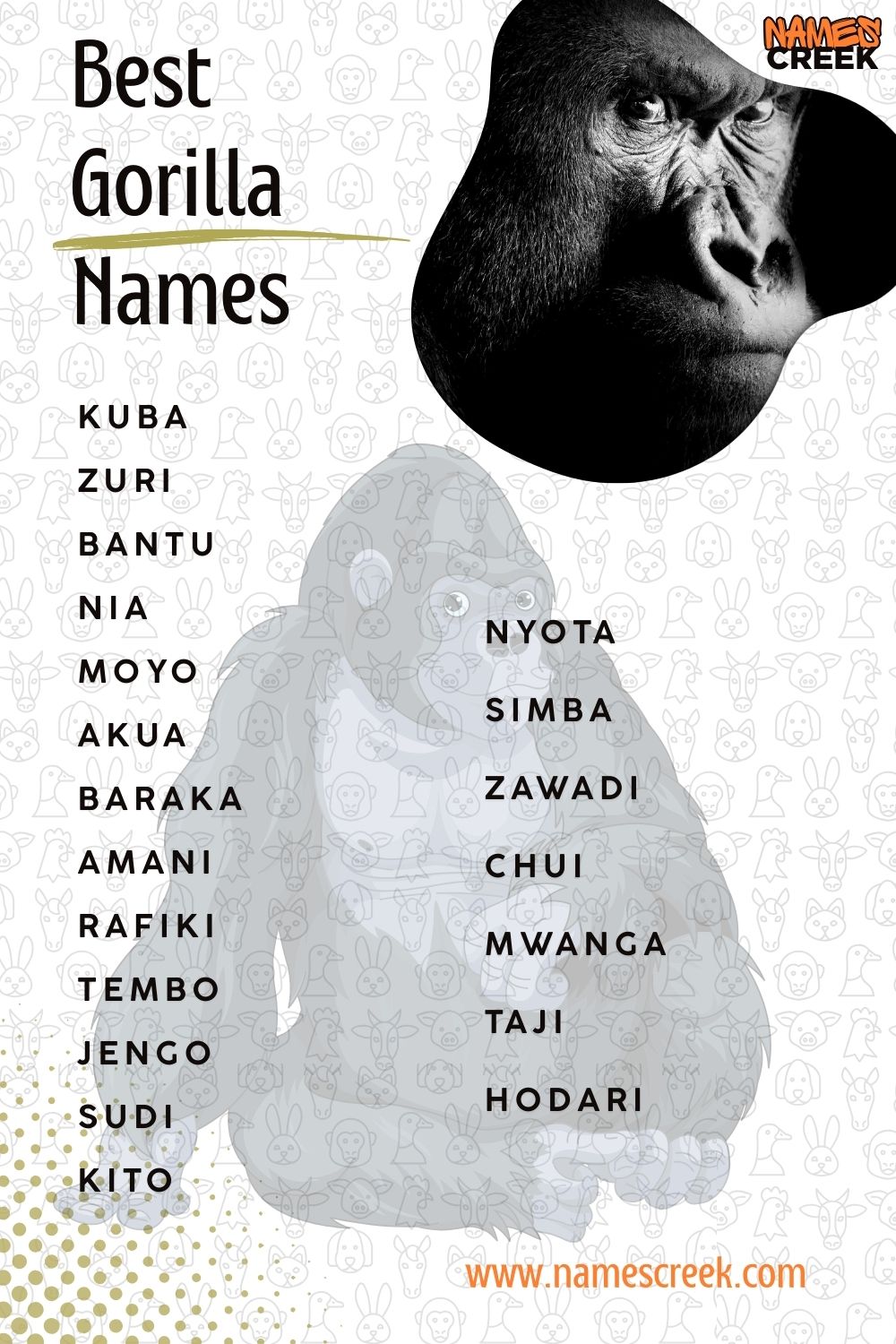 Unique Gorilla Names: Strength, Grace & Personality