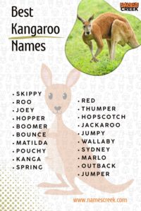 460 Unique And Funny Kangaroo Names + Ai Generator