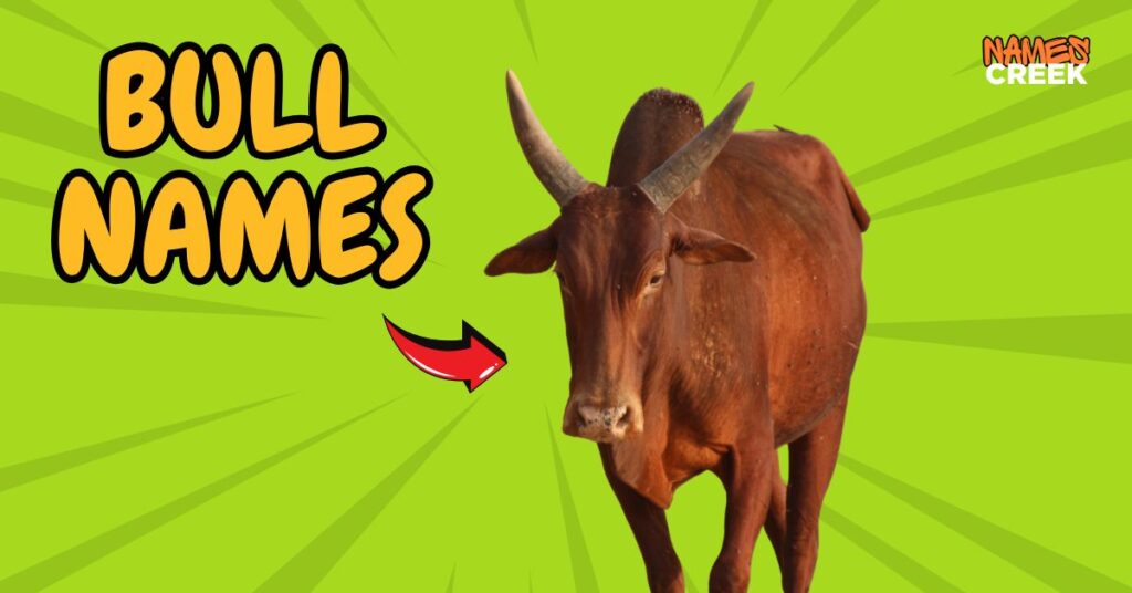 680 Unique Bull Names To Inspire Your Strong And Mighty Companion + Ai ...