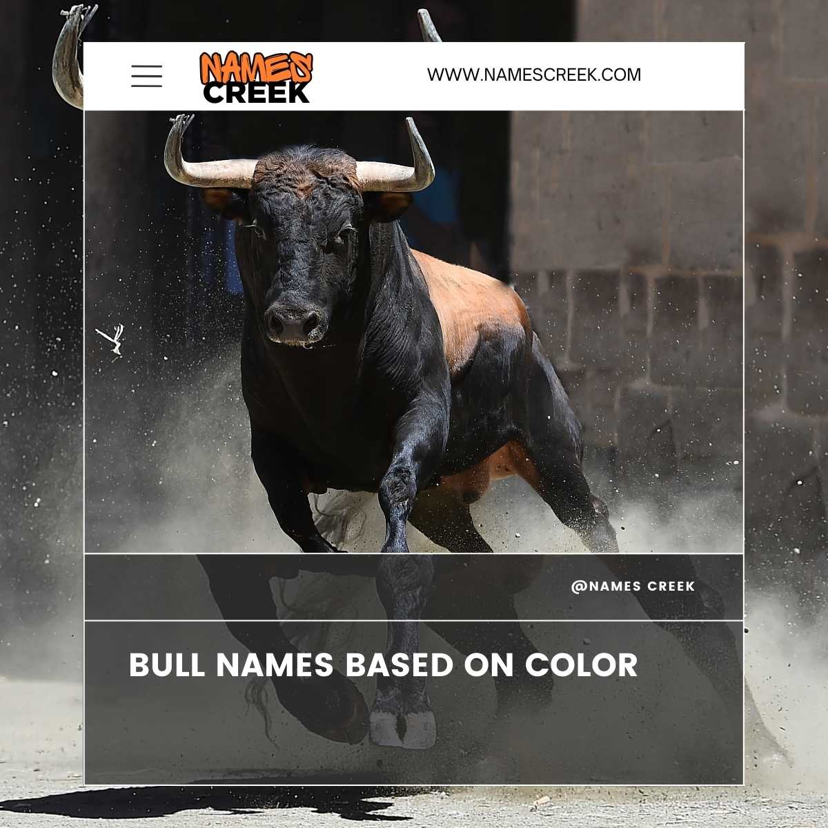 680 Unique Bull Names To Inspire Your Strong And Mighty Companion + Ai ...