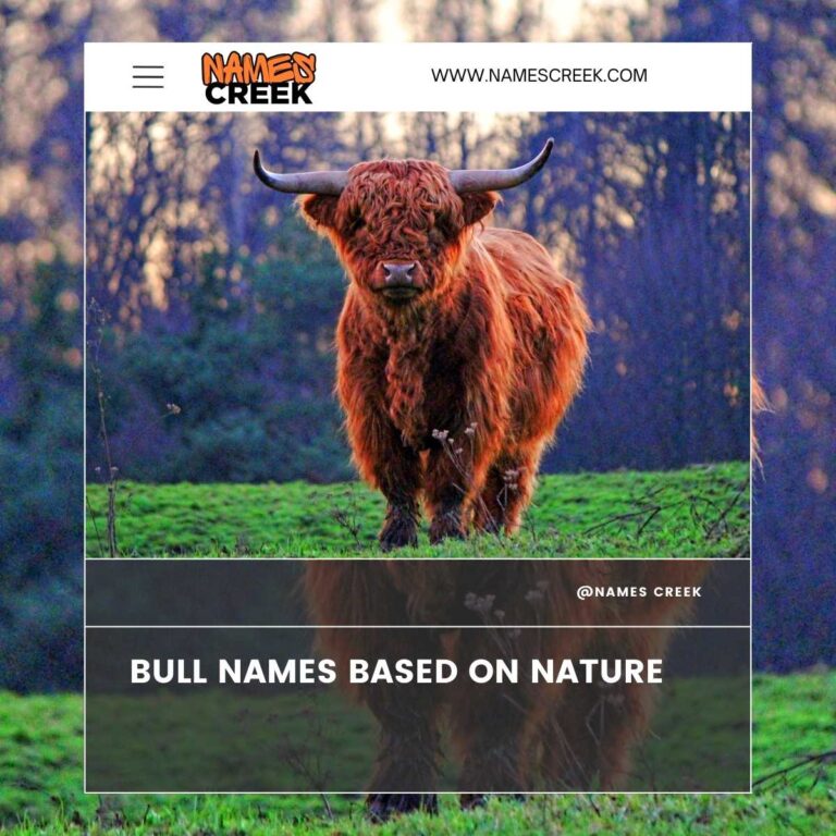 680 Unique Bull Names To Inspire Your Strong And Mighty Companion + Ai ...