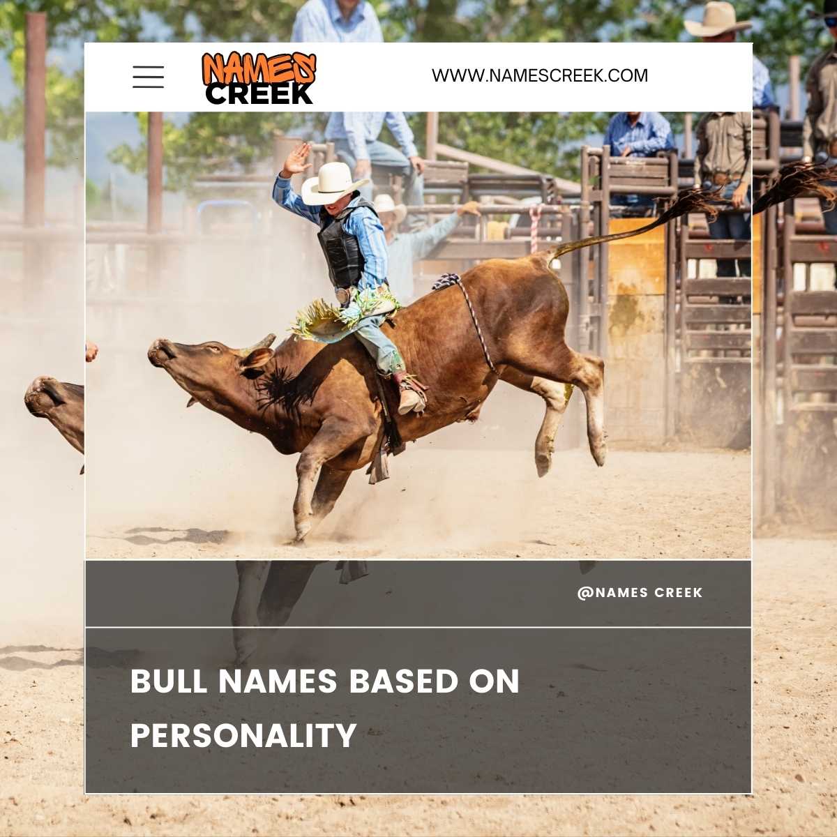 680 Unique Bull Names To Inspire Your Strong And Mighty Companion + Ai ...