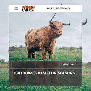 680 Unique Bull Names To Inspire Your Strong And Mighty Companion + Ai ...