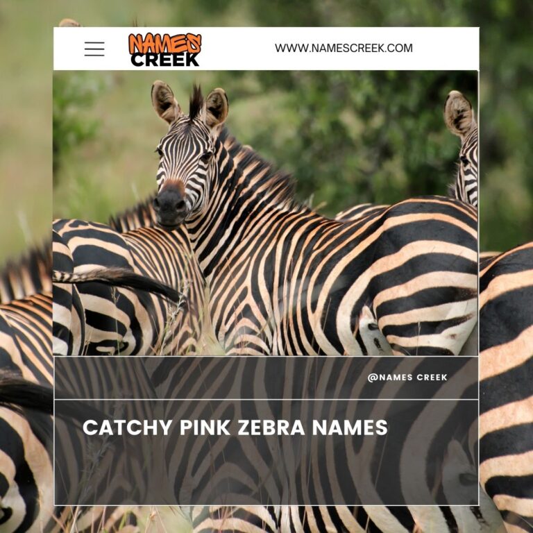 365 Unique Zebra Names For Your Striped Friends With AI Generator
