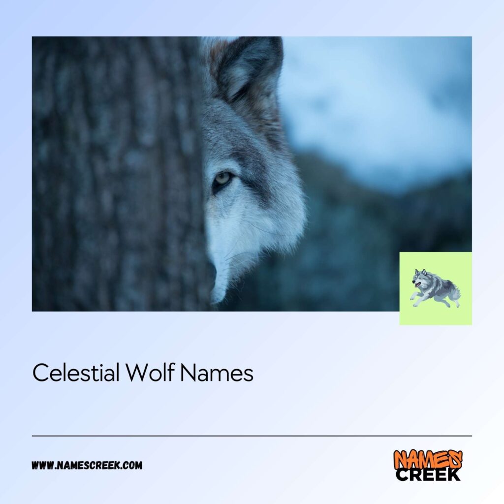 250 Wolf Names: Strong, Unique, And Unforgettable