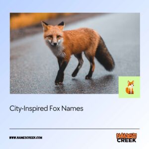 Top 500 Fox Names: Creative And Fun Names For Your Fox Companion