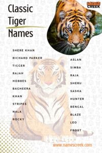 500 Best Tiger Names For Your Fierce And Fabulous Feline With Ai Generator