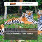 500 Best Tiger Names For Your Fierce And Fabulous Feline With Ai Generator