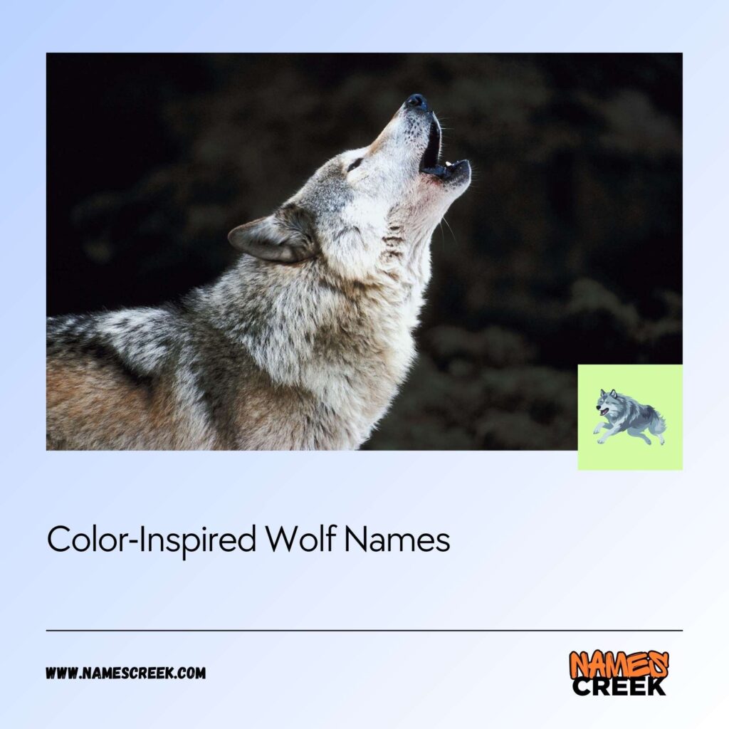 250 Wolf Names: Strong, Unique, And Unforgettable