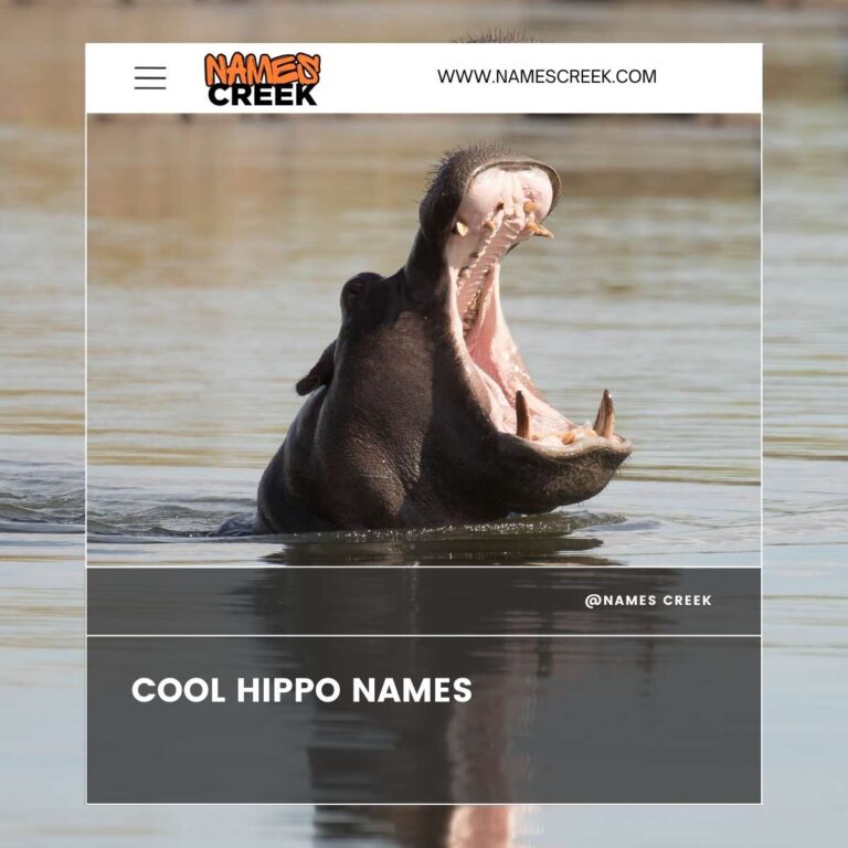 Top 400 Creative And Unique Hippo Names + Generator