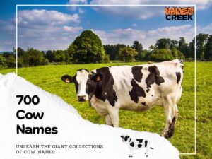 700 Cow Names: A Comprehensive List