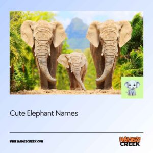 160 Funny Elephant Names : Get Ready To Laugh Out Loud! (With Generator)