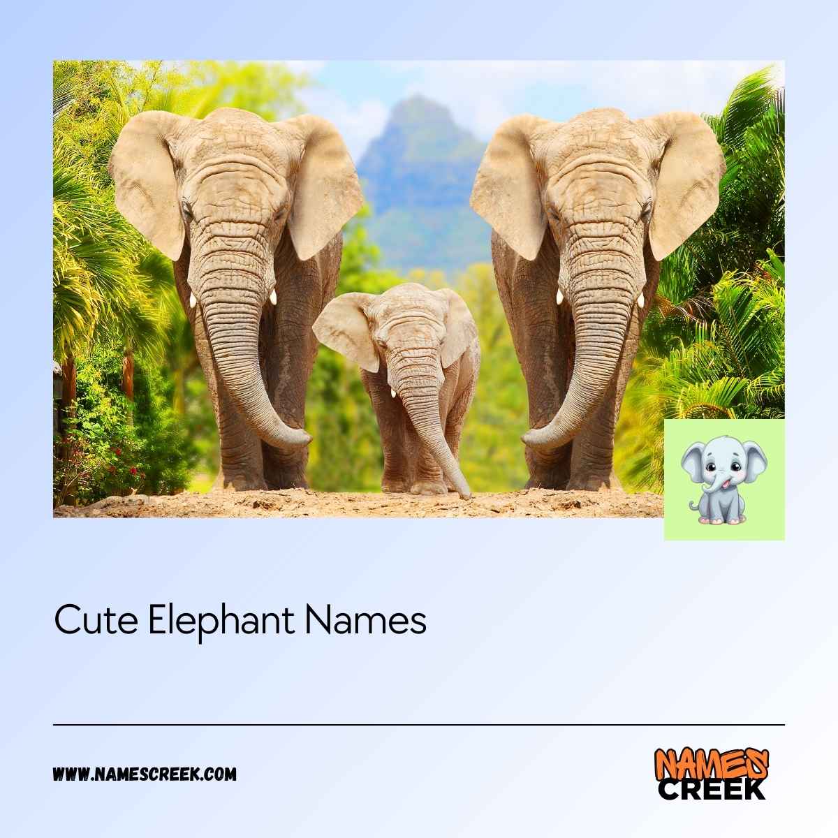 160 Funny Elephant Names : Get Ready To Laugh Out Loud! (With Generator)