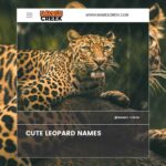 165+ Cool And Unique Leopard Names For Your Wild Cat