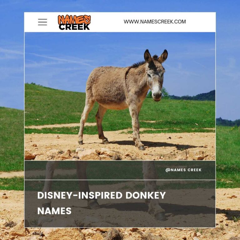 460 Best Donkey Names For Your Furry Friend + Ai Generator
