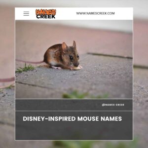 600 Funky And Fabulous Mouse Names
