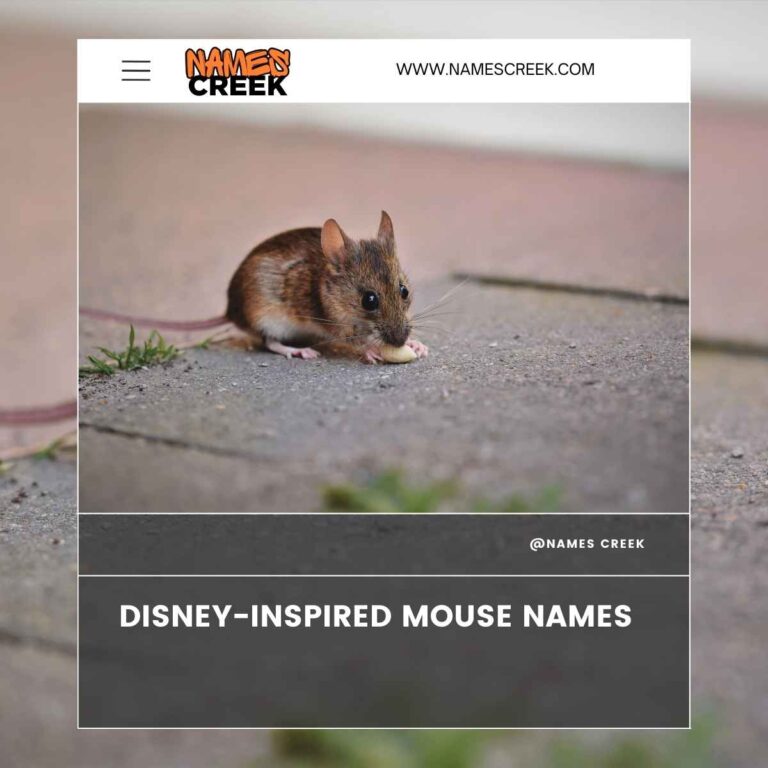 600 Funky And Fabulous Mouse Names