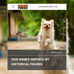 300 Awesome Dog Names: Discover The Perfect Name For Your Canine Companion