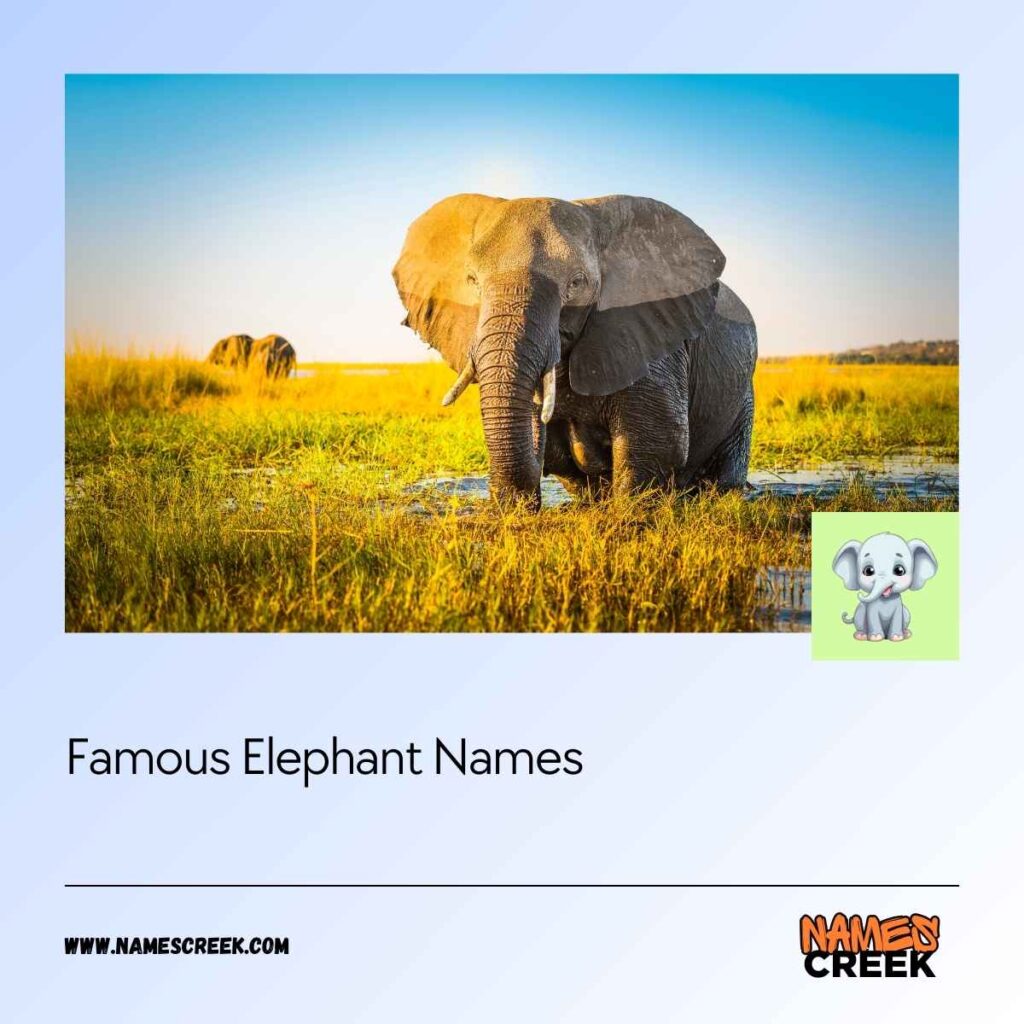 160 Funny Elephant Names : Get Ready To Laugh Out Loud!