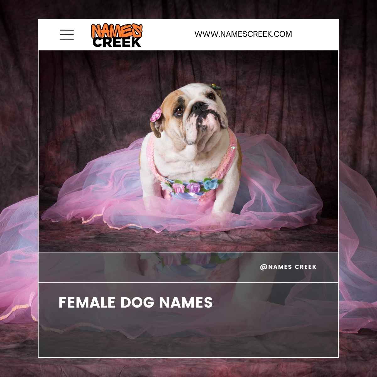 300 Awesome Dog Names: Discover The Perfect Name For Your Canine Companion