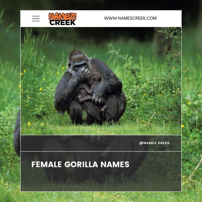 Gorilla Names: A Comprehensive List Of 400+ Options
