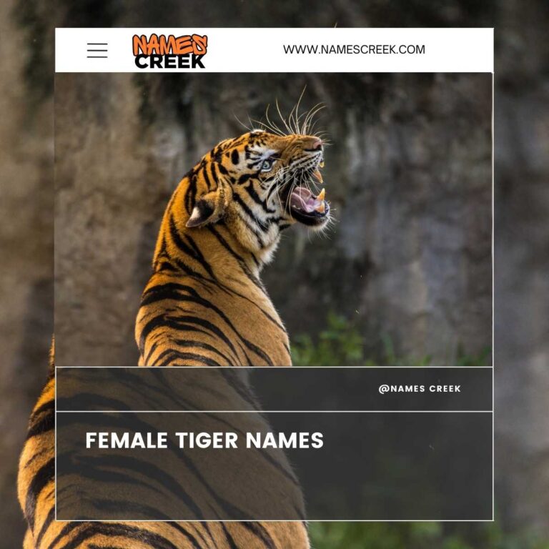 500 Best Tiger Names For Your Fierce And Fabulous Feline With Ai Generator