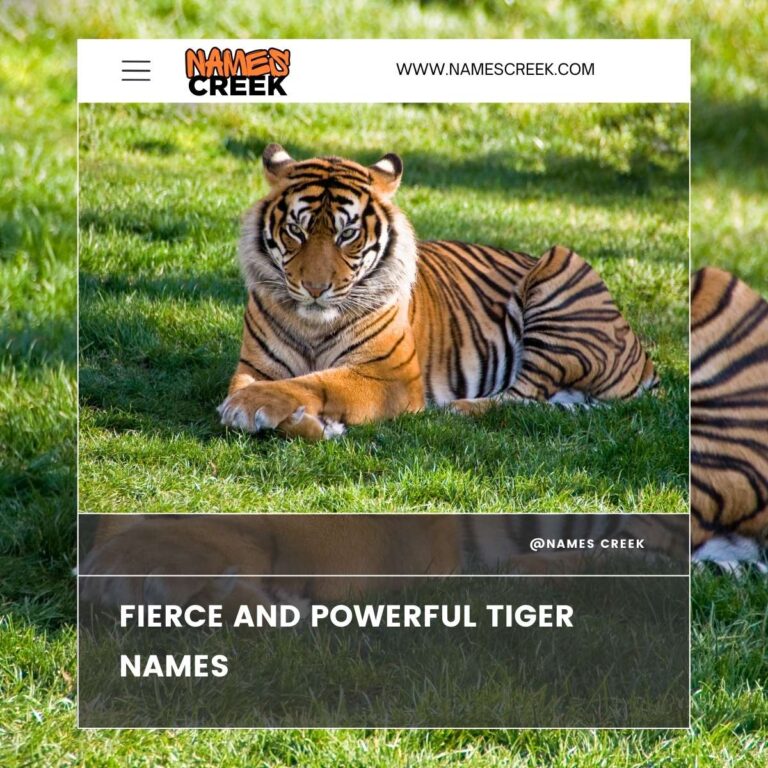 500 Best Tiger Names For Your Fierce And Fabulous Feline With Ai Generator