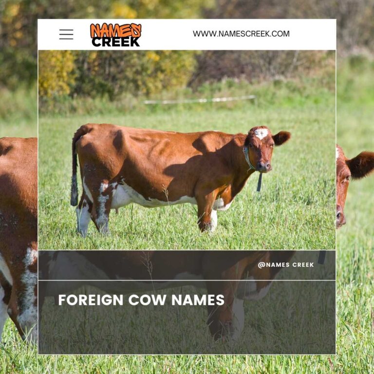 700 Cow Names: A Comprehensive List