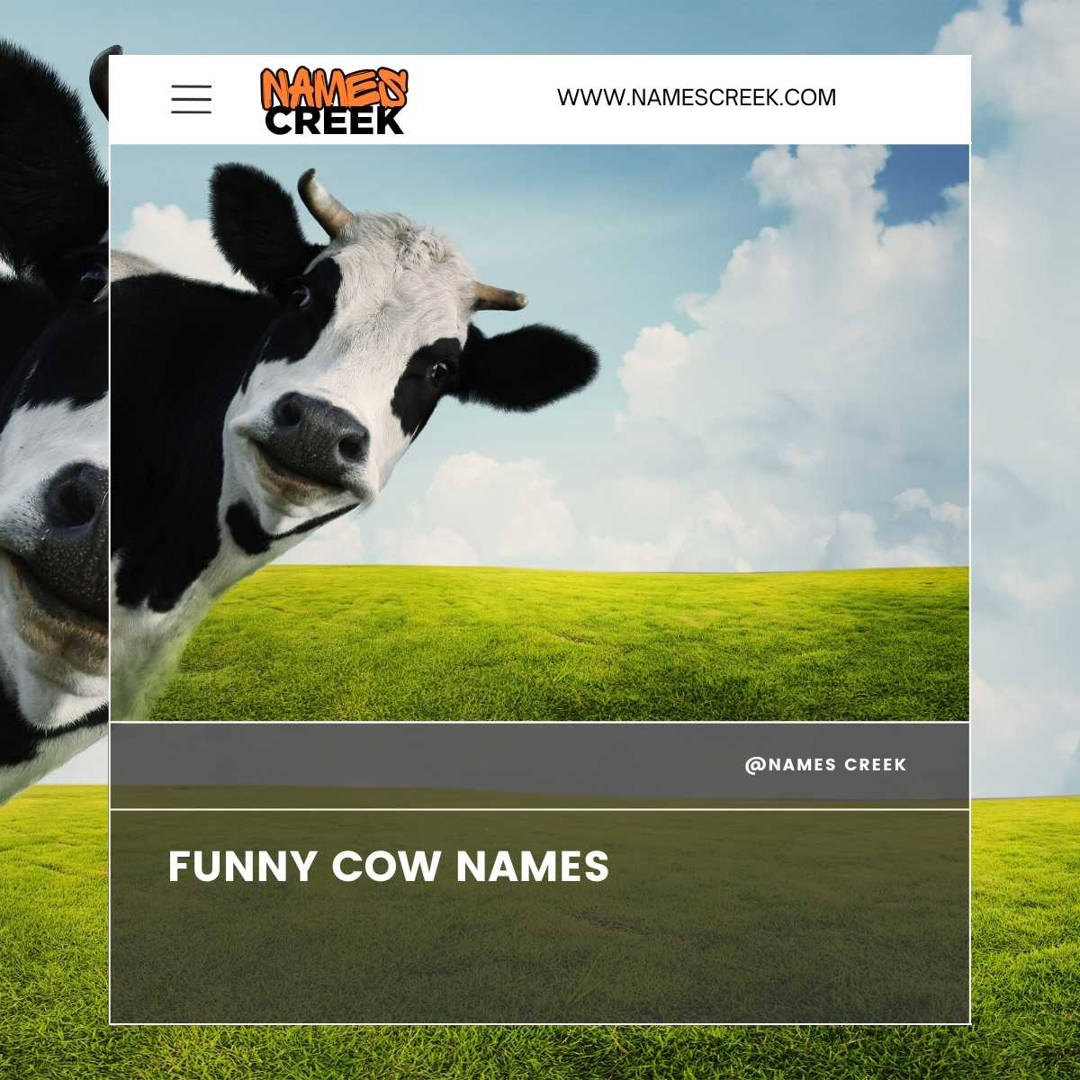 700 Cow Names: A Comprehensive List
