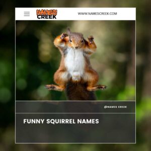 Top 445 Adorable Squirrel Names For Your Furry Friend