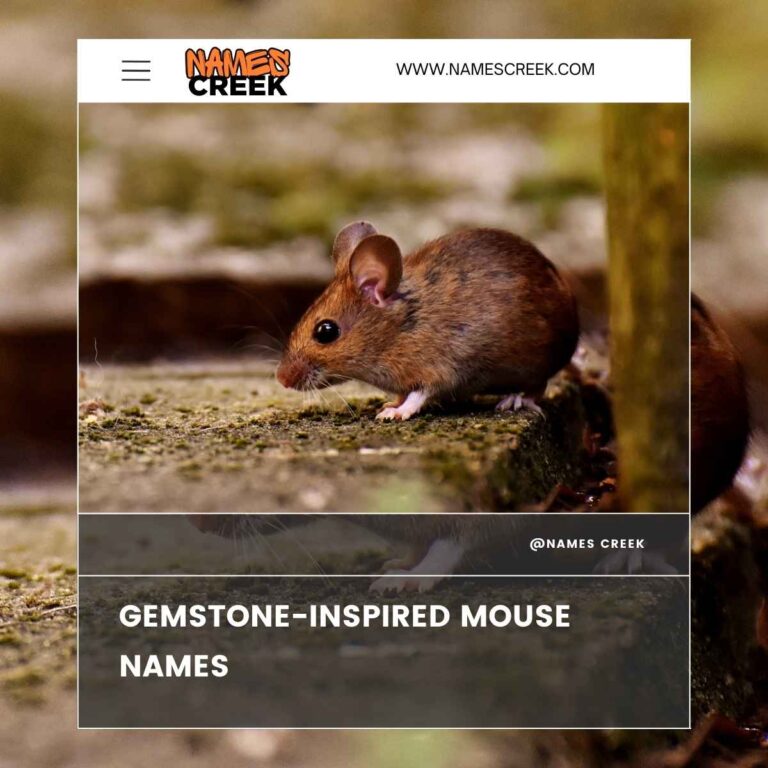 600 Funky And Fabulous Mouse Names
