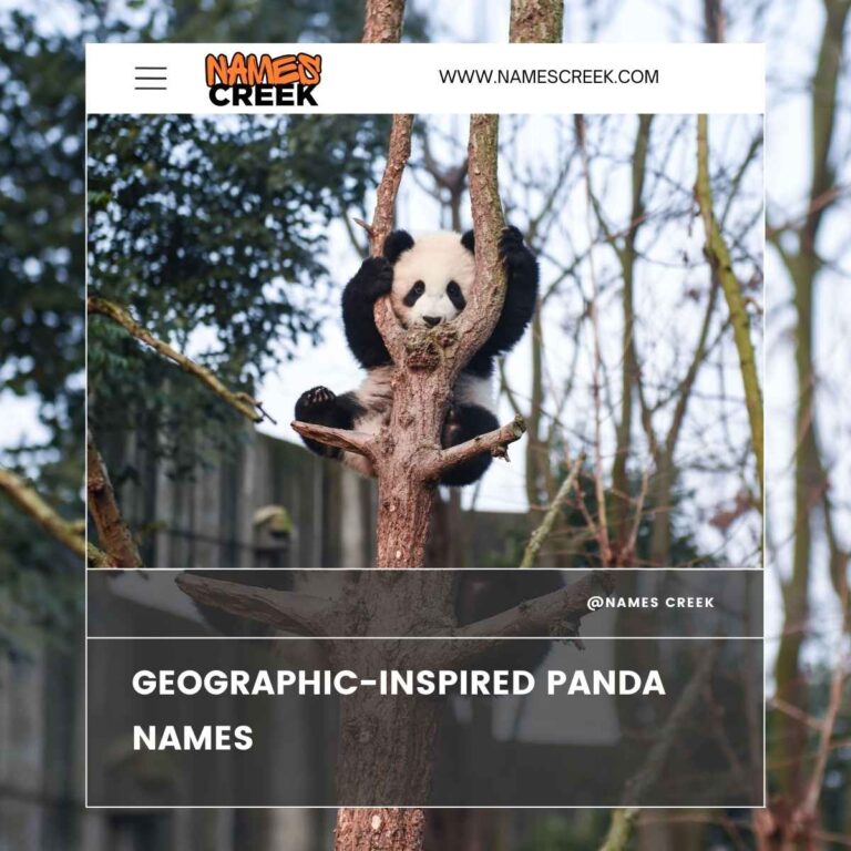 400+ Unique Panda Names To Choose For Your Adorable Furry Friend +Generator