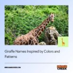 The Ultimate List Of 350 Giraffe Names: From Cute To Unique
