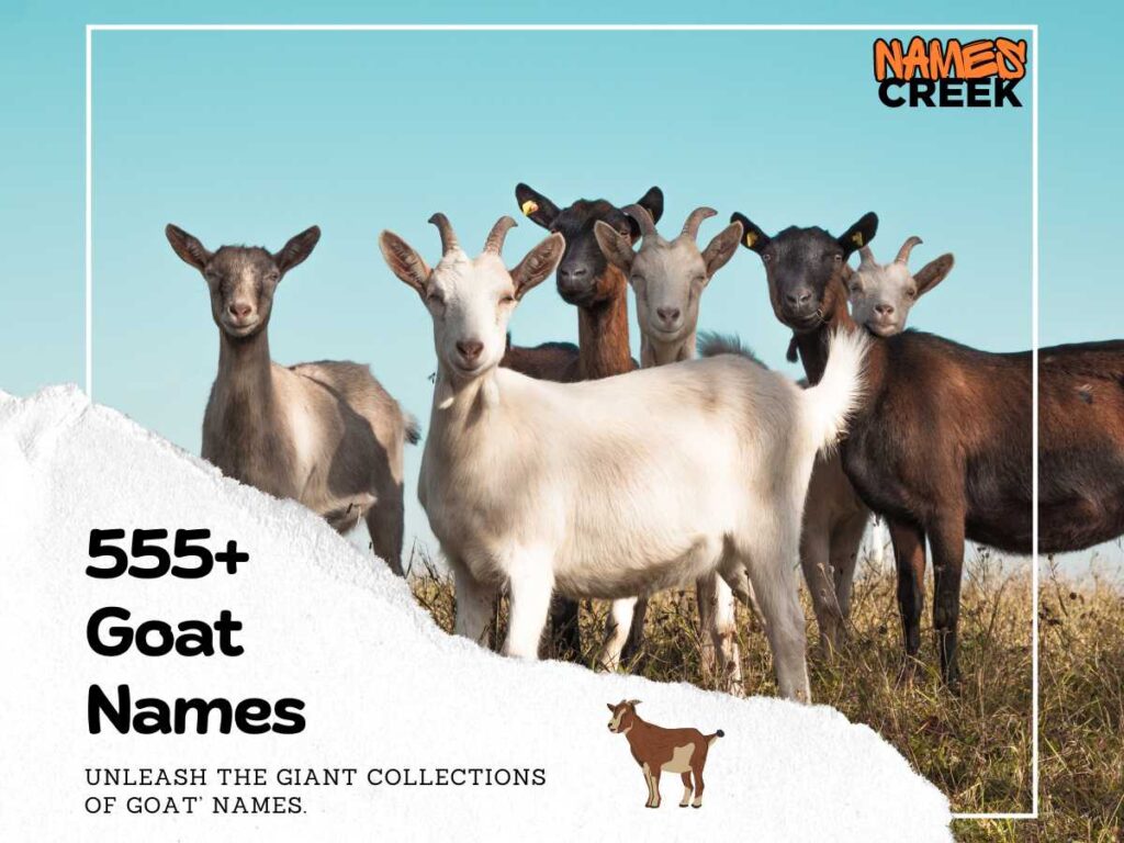 550+ Creative And Unique Goat Names For Your Beloved Pets