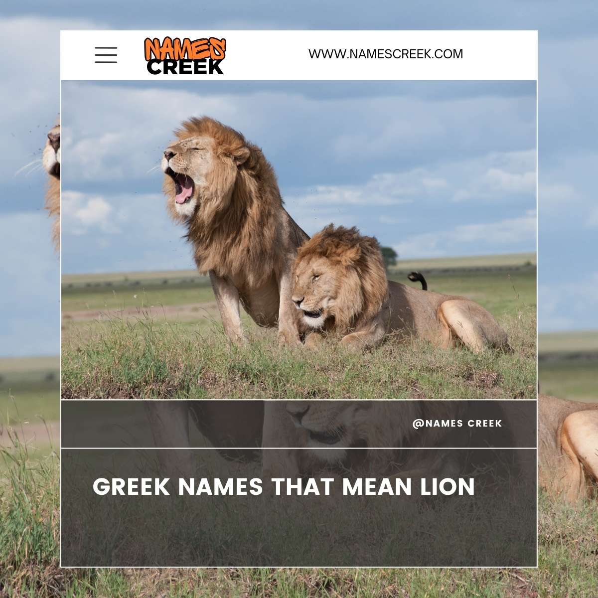 110+ Powerful Names That Mean Lion