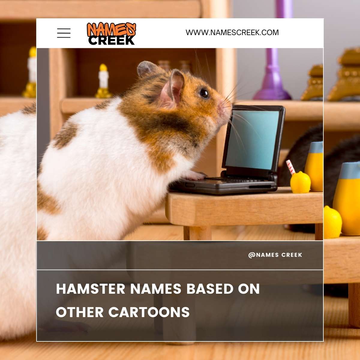 160+ Hamster Names: Cute, Funny And Unique Ideas
