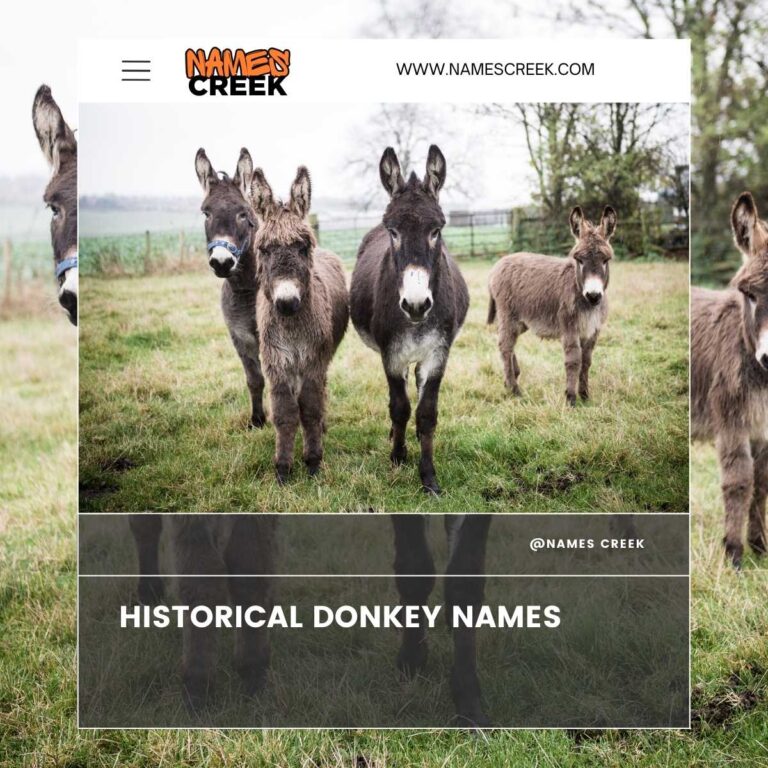 460 Best Donkey Names For Your Furry Friend + Ai Generator
