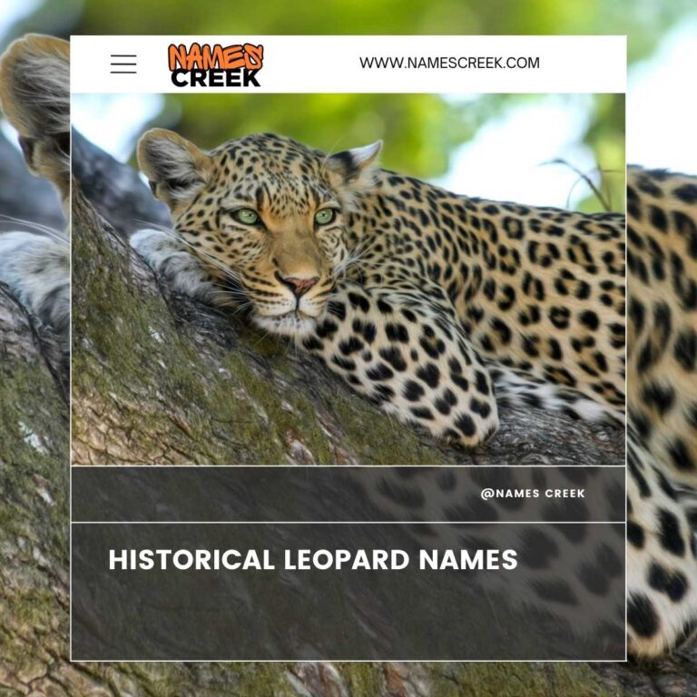 165+ Cool And Unique Leopard Names For Your Wild Cat