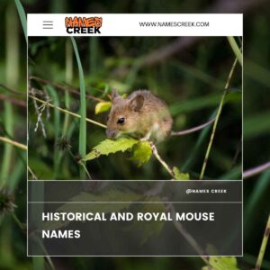 600 Funky And Fabulous Mouse Names