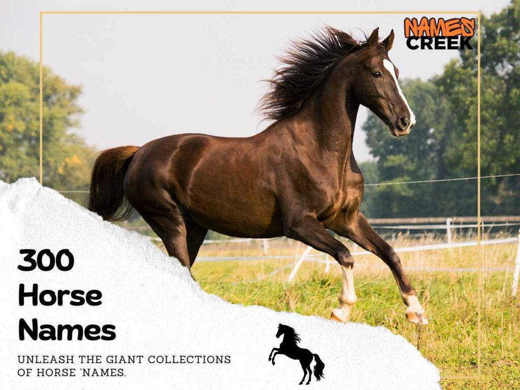 300 Stunning And Beautiful Horse Names